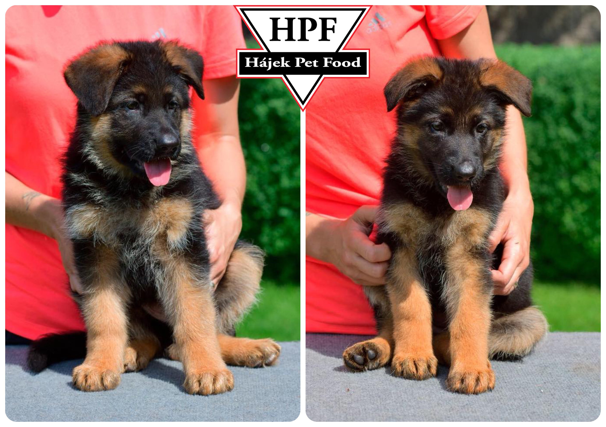 Hájek Pet Food - HPF